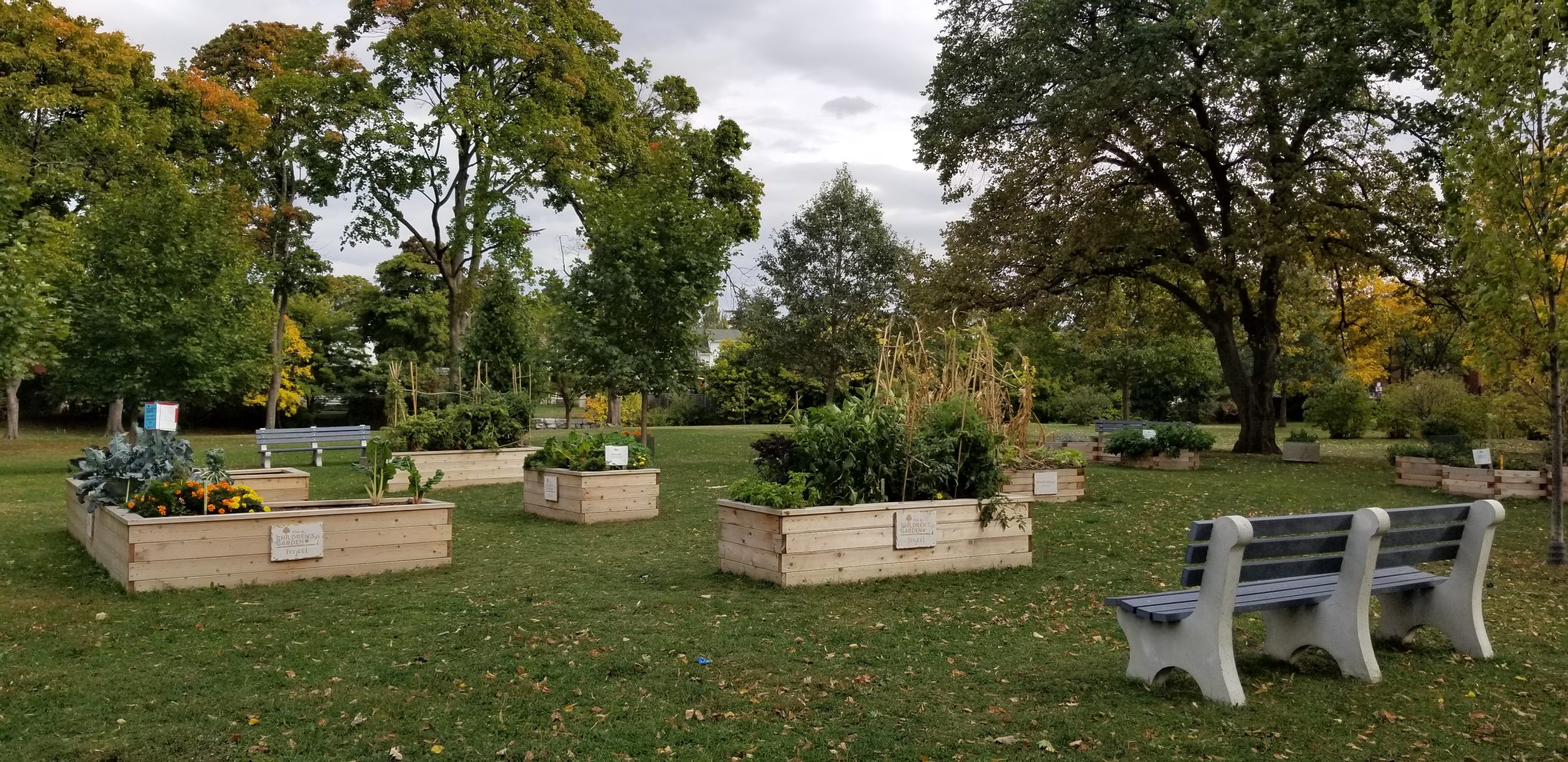 Growing community — Hamilton Community Foundation