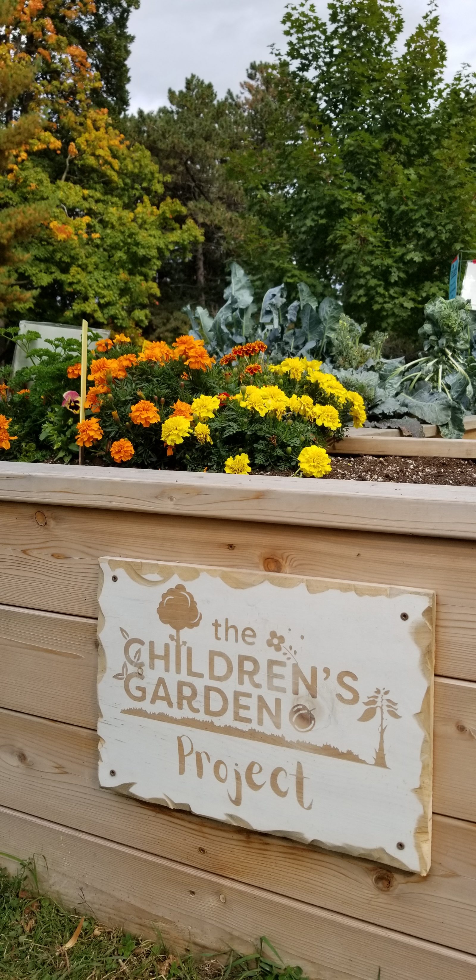 Growing community — Hamilton Community Foundation